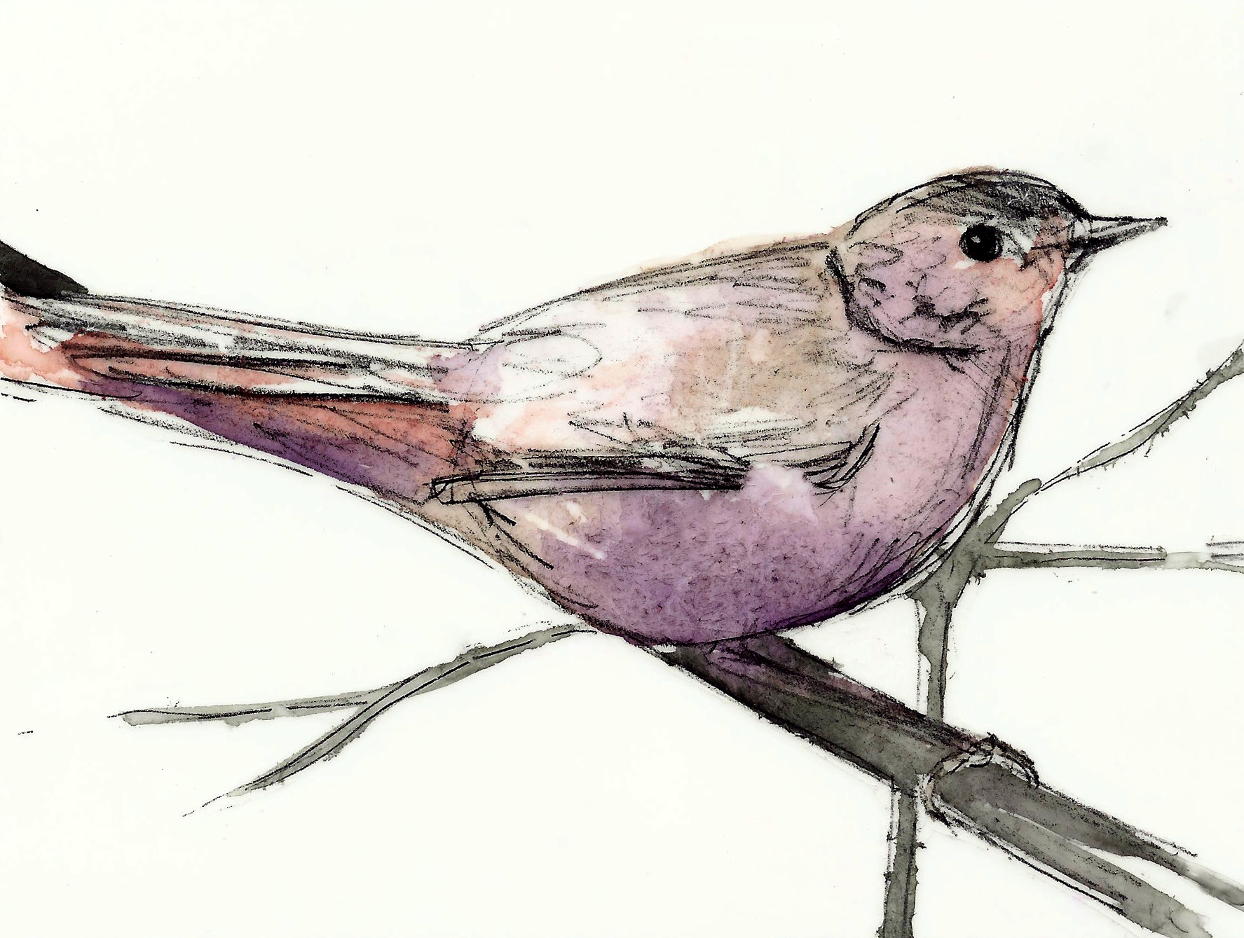 Toner Transfer Secrets Revealed – Cry The Bird