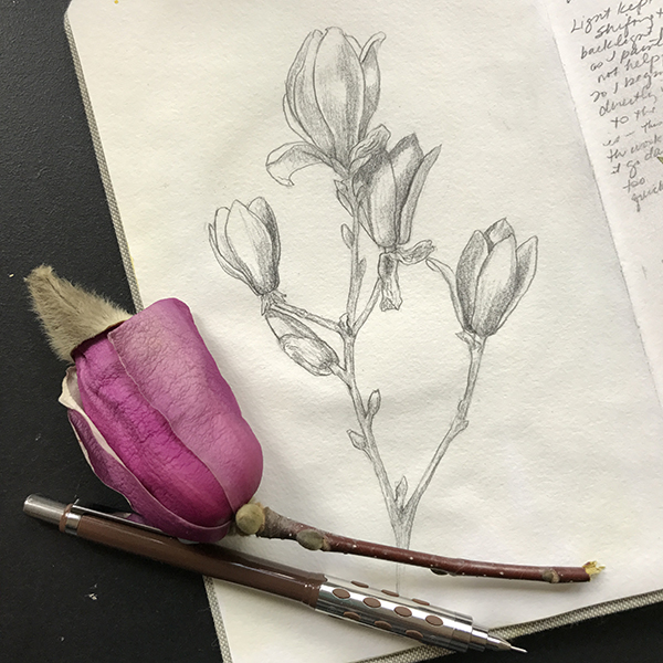 Week 7: Watercolor Flower Studies – Cry The Bird
