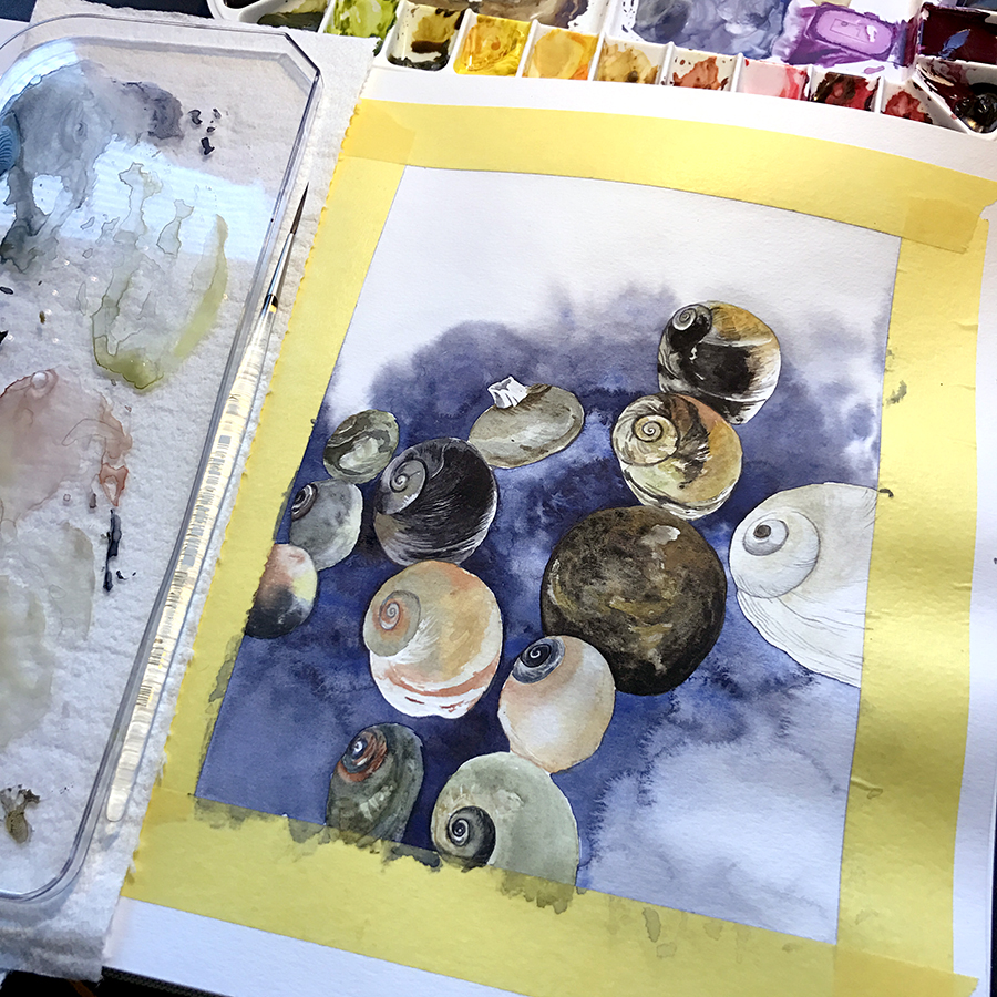 Week 4: Watercolor Shark Eye Snails – Cry The Bird