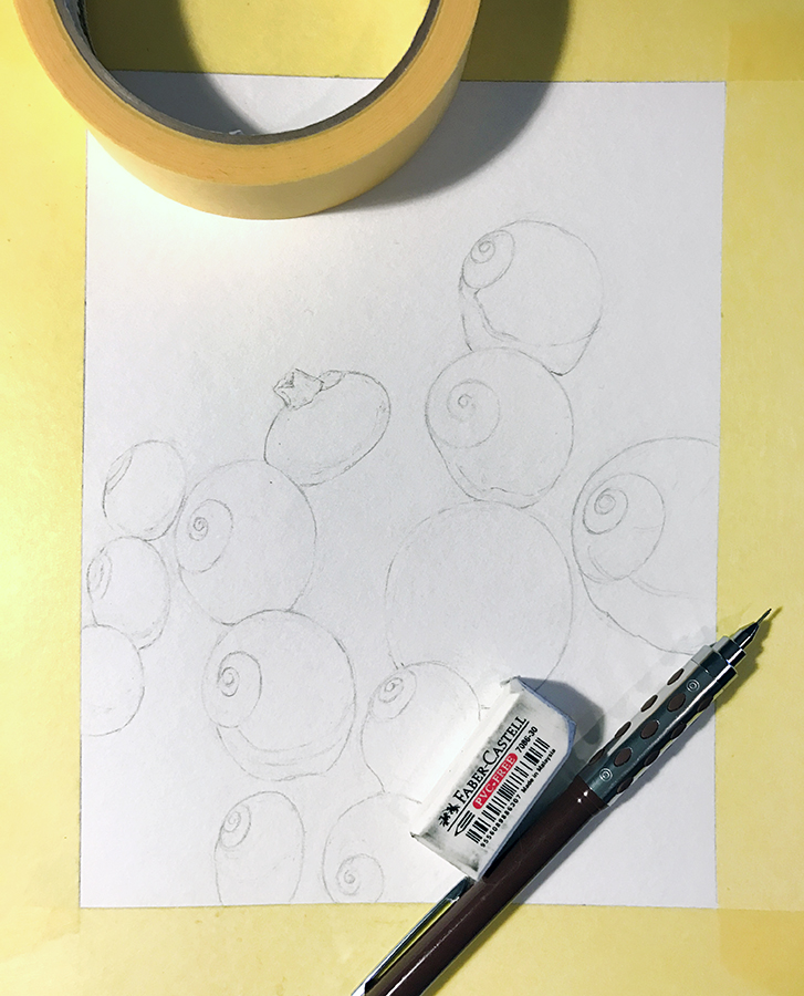 Week 4: Watercolor Shark Eye Snails – Cry The Bird