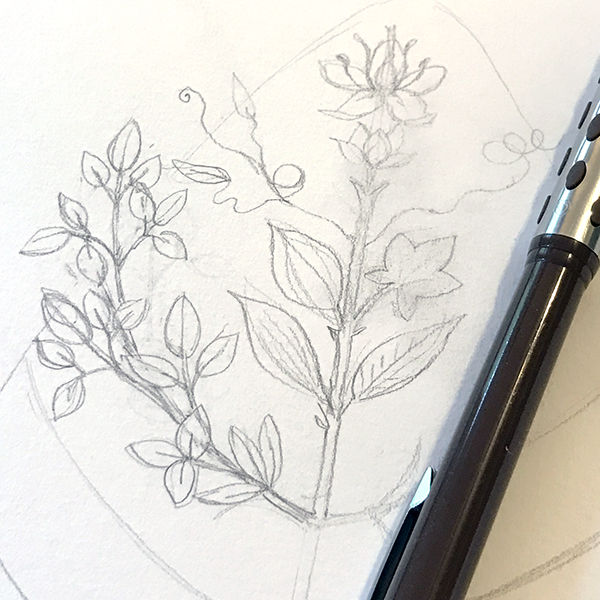 Exploring Leaf Identification with Pen & Ink and Watercolor (Wk 36 ...