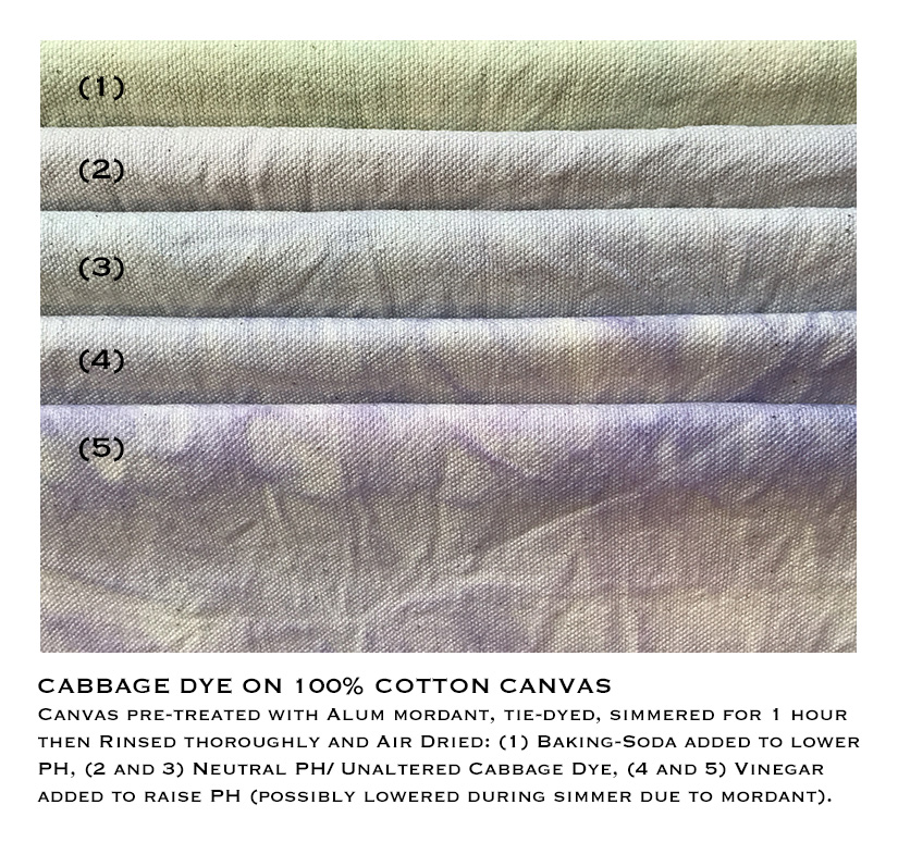 Cabbage Dyes: Are they all they’re cracked up to be? (Part 3 of 3 ...