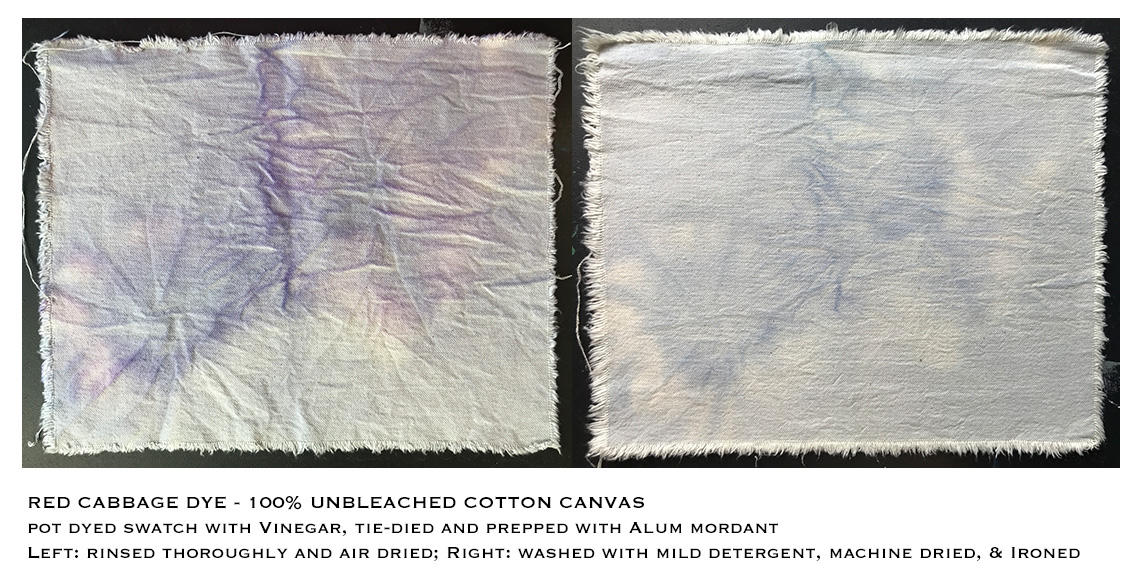 Cabbage Dyes: Are they all they’re cracked up to be? (Part 3 of 3 ...