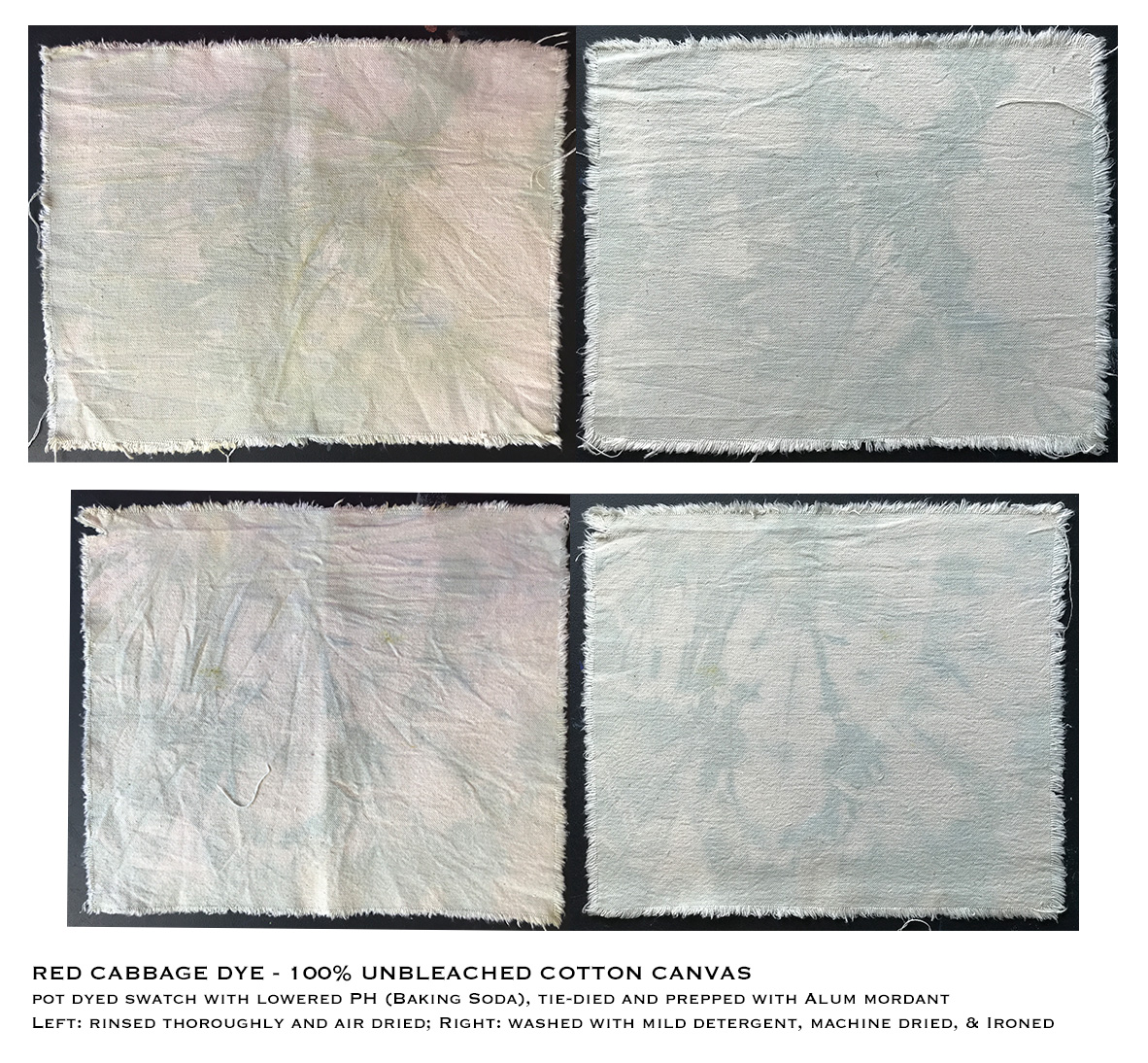 Cabbage Dyes: Are they all they’re cracked up to be? (Part 3 of 3 ...