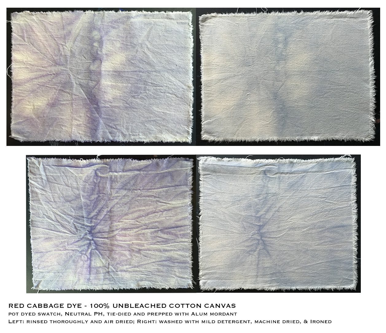 Cabbage Dyes: Are they all they’re cracked up to be? (Part 3 of 3 ...