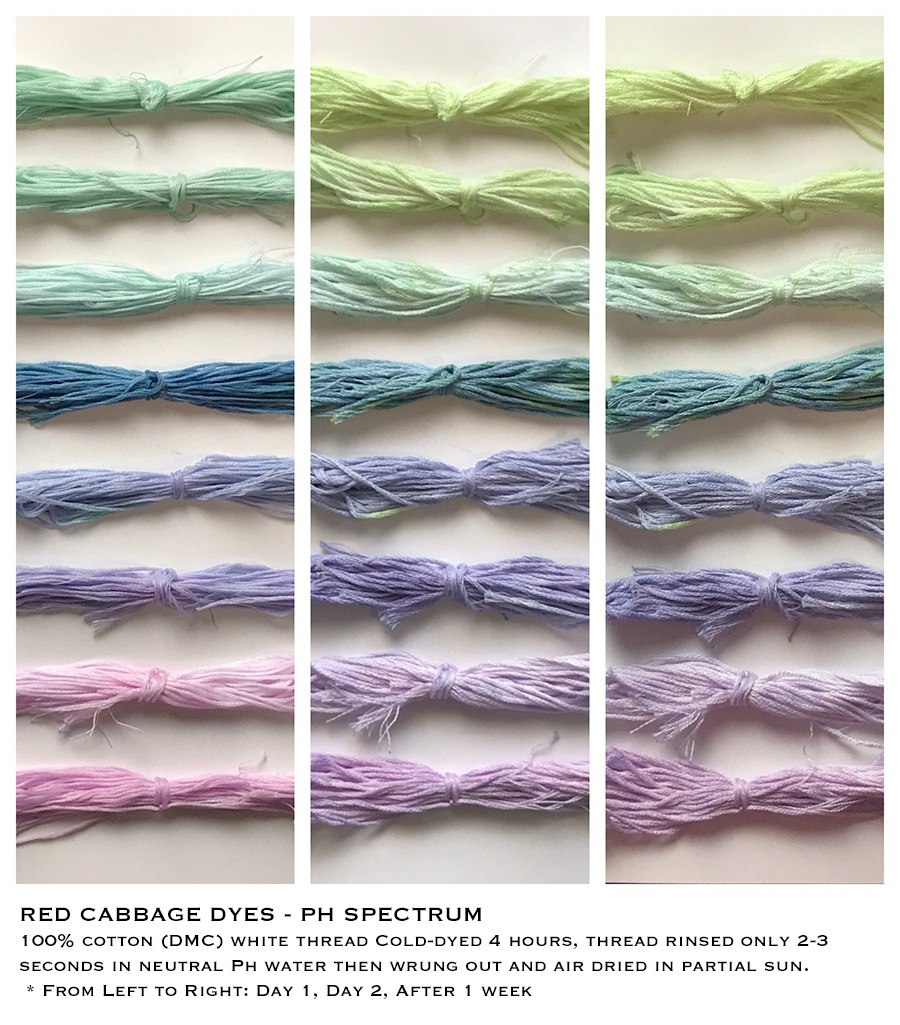 Cabbage Dyes: Are they all they’re cracked up to be? (Part 2 of 3 ...