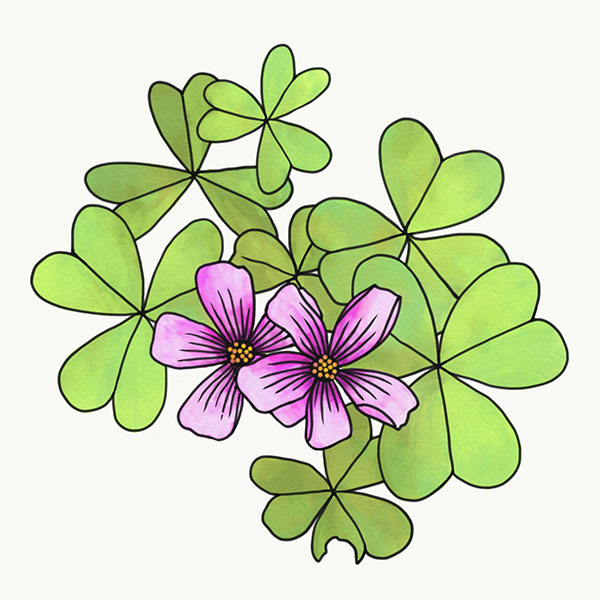 100 days of Nature Motifs for Embroidery Artists – Cry The Bird