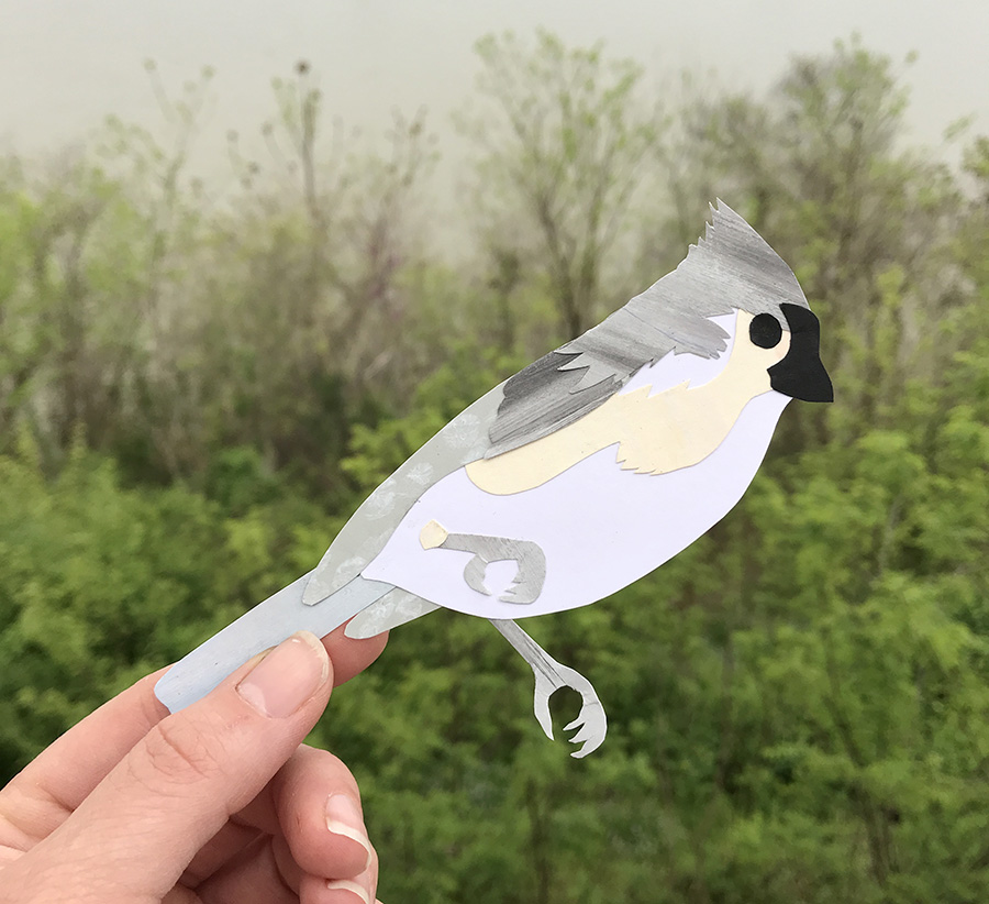 Cut Paper Birds Using Painted Paper – Cry The Bird